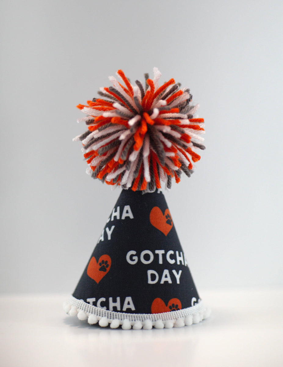 Gotcha Day Pet Party Hat - Fun Photo Prop / Handcrafted| Bones and ...