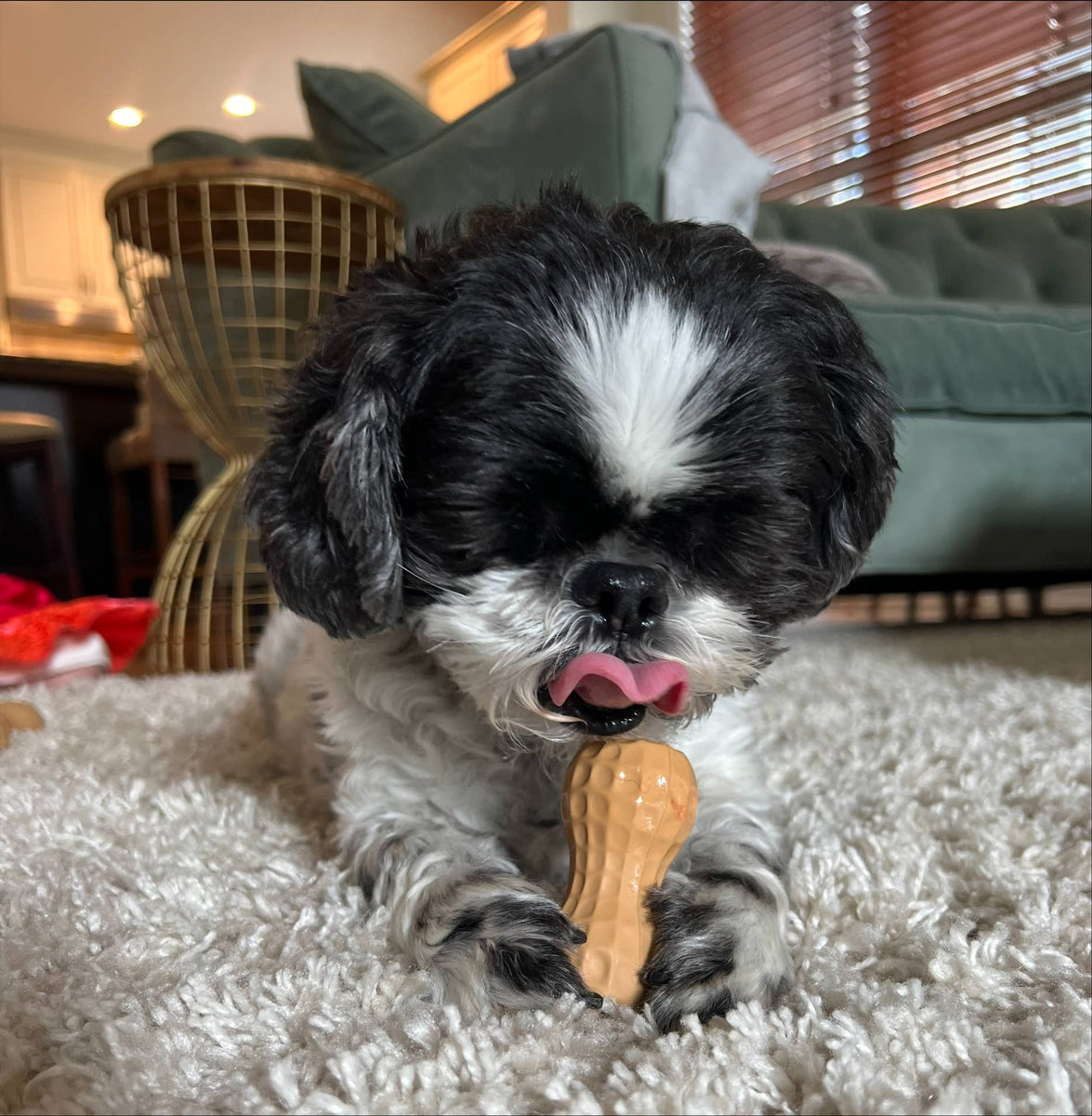 Small Dog - Chew Freezable Toy Filler & Dispenser| Bones and Rattles ...